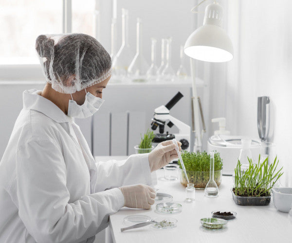 Nicotine OTC Law Changes – Essence Dispensary